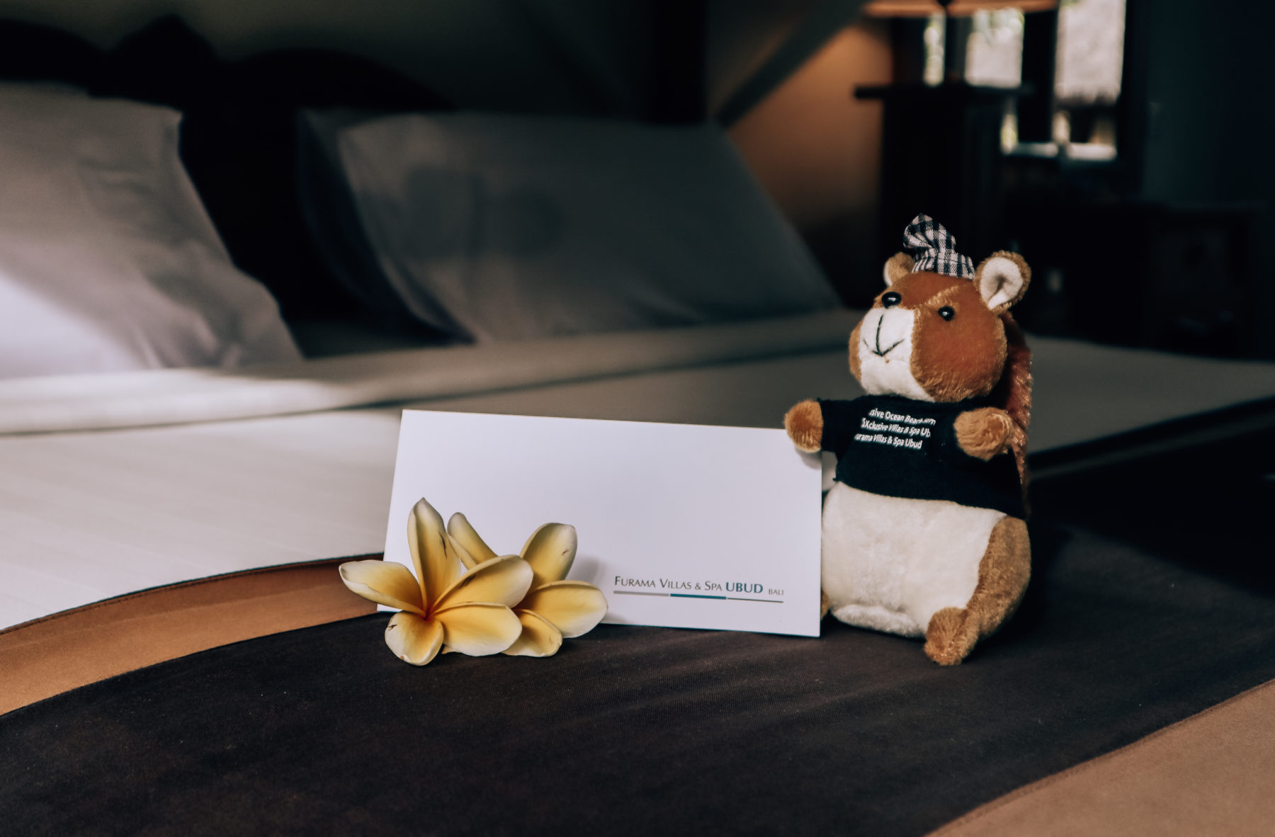 Furama Villas Ubud – Bali – Artyszka in NYC