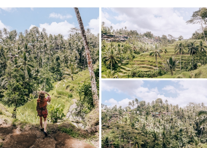 Tegallalang Rice Terrace & Tegenungan Waterfall – Artyszka in NYC