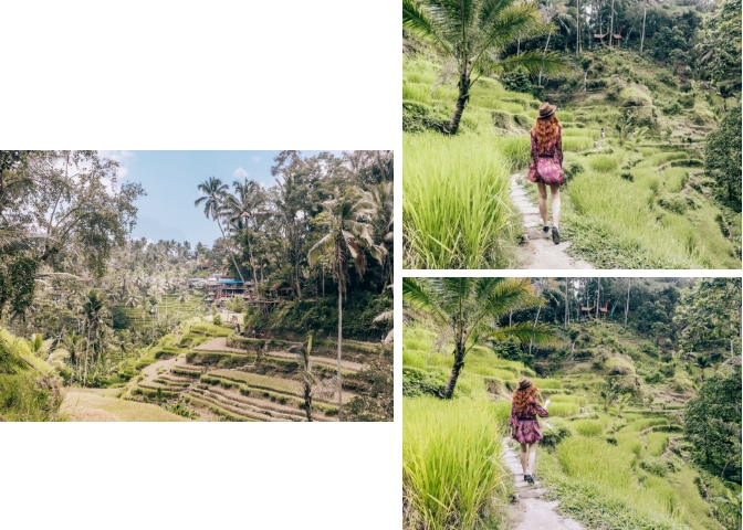 Tegallalang Rice Terrace & Tegenungan Waterfall – Artyszka in NYC