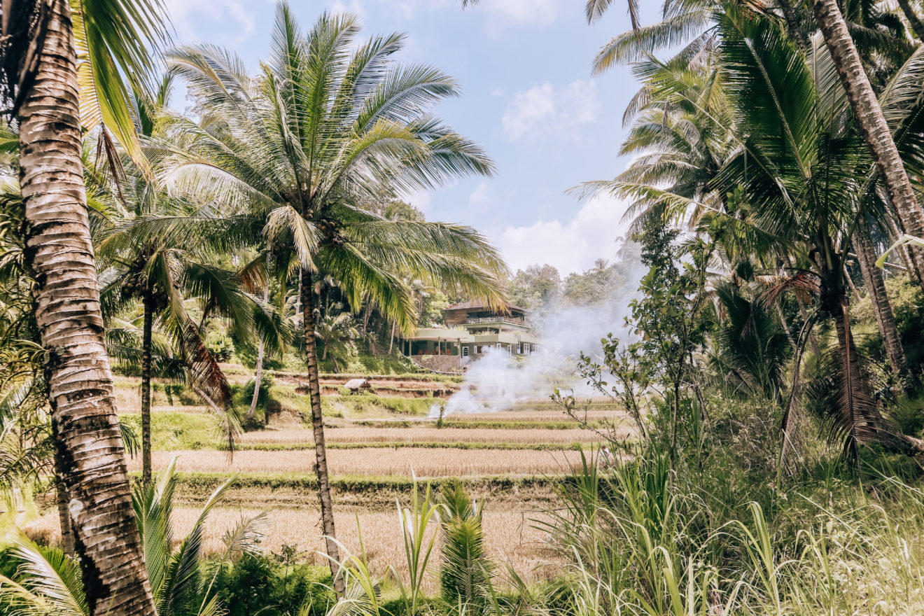 Tegallalang Rice Terrace & Tegenungan Waterfall – Artyszka in NYC